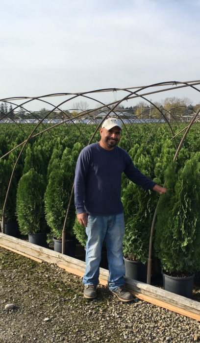 Ohio Wholesale Nursery - Means Nursery